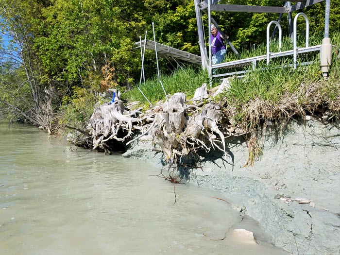 Lakeshore Guys® - MN Shoreline Experts