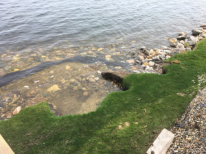 Shoreline Erosion Photos • Examples of Eroded Shorelines • Lakeshore ...